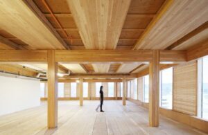 Engineered Wood Products and their Applications in Structural ...