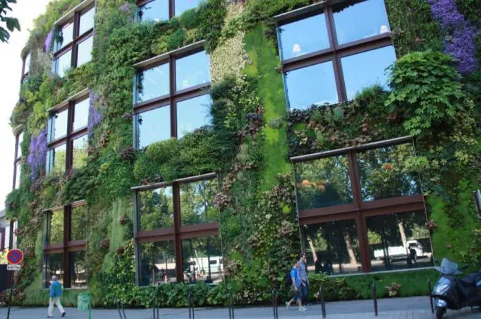 Production of Bioreceptive Concrete - Structville