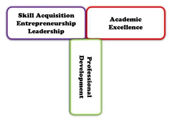 The T-shaped Civil Engineer - Structville