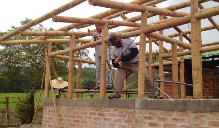 Properties of Bamboo as a Structural Member in Construction - Structville