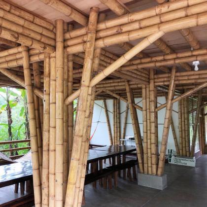 Properties of Bamboo as a Structural Member in Construction - Structville