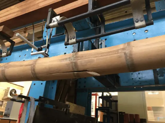 Properties of Bamboo as a Structural Member in Construction - Structville