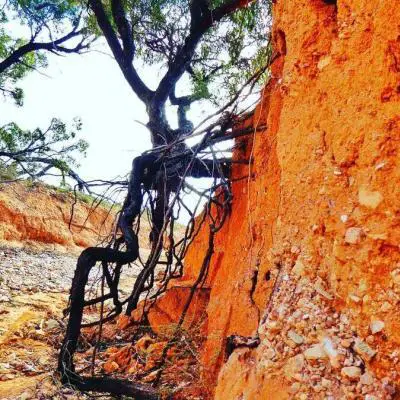 Dispersive Soils - Structville