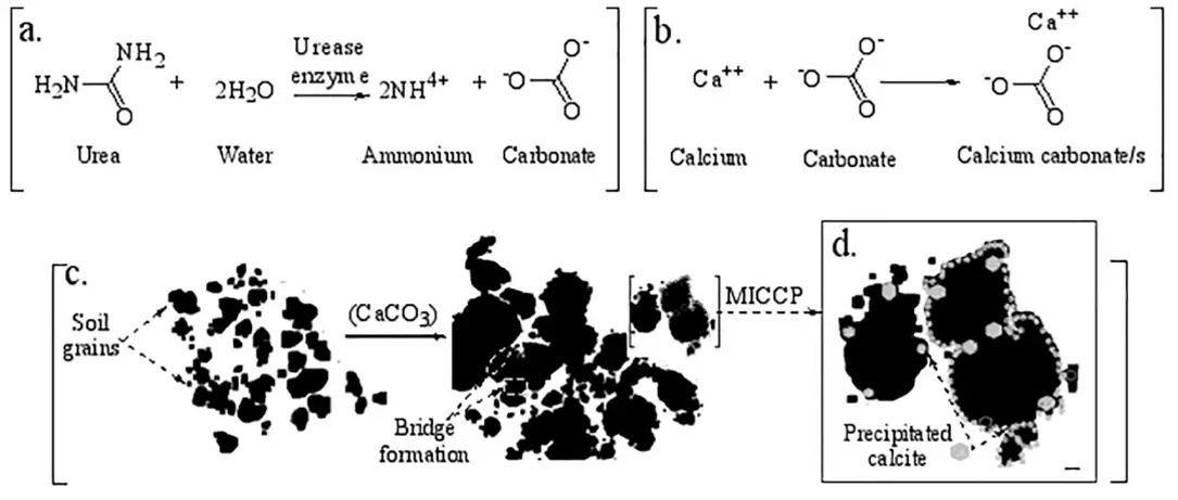 Biocementation Method of Soil Improvement - Structville