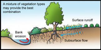 Soil Erosion and Control Measures - Structville