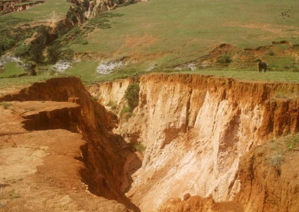 Soil Erosion and Control Measures - Structville