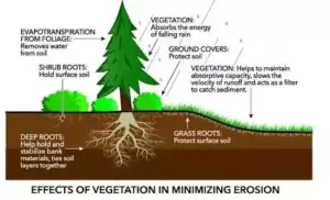 Soil Erosion and Control Measures - Structville