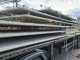 Construction of Precast Filigran Slab | Filigree Slab - Structville